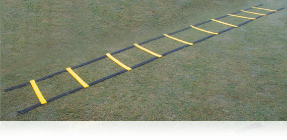 Vixenindia.com: Agility & Training Equipments - Agility Ladders ...