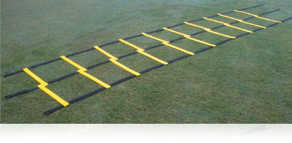 Vixenindia.com: Agility & Training Equipments - Agility Ladders ...